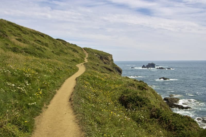 Six Great South Cornwall Walks | Boconnoc Estate