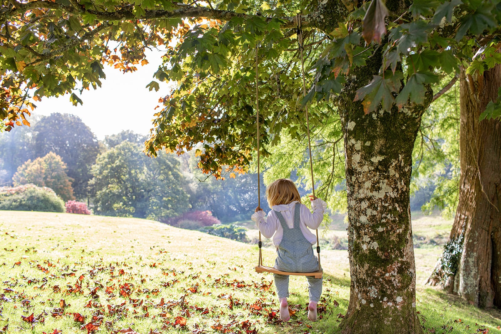 Boconnoc House & Estate | Wedding Venue and Accommodation Cornwall ...