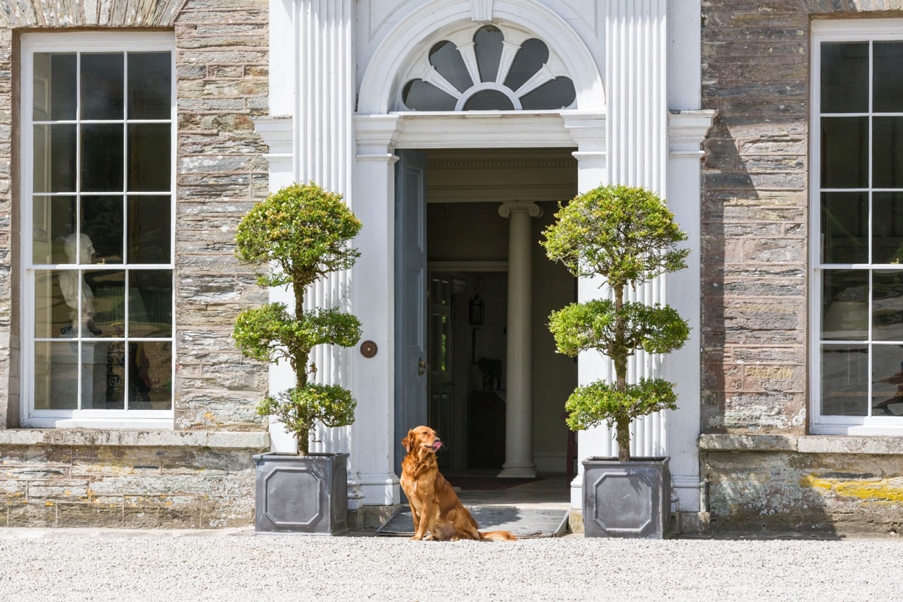 Boconnoc House & Estate | Wedding Venue and Accommodation Cornwall ...